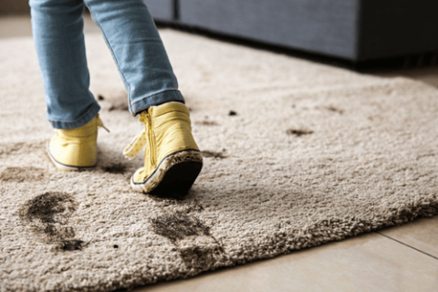 How To Remove Common Carpet Stains | Marino Cleaning Services